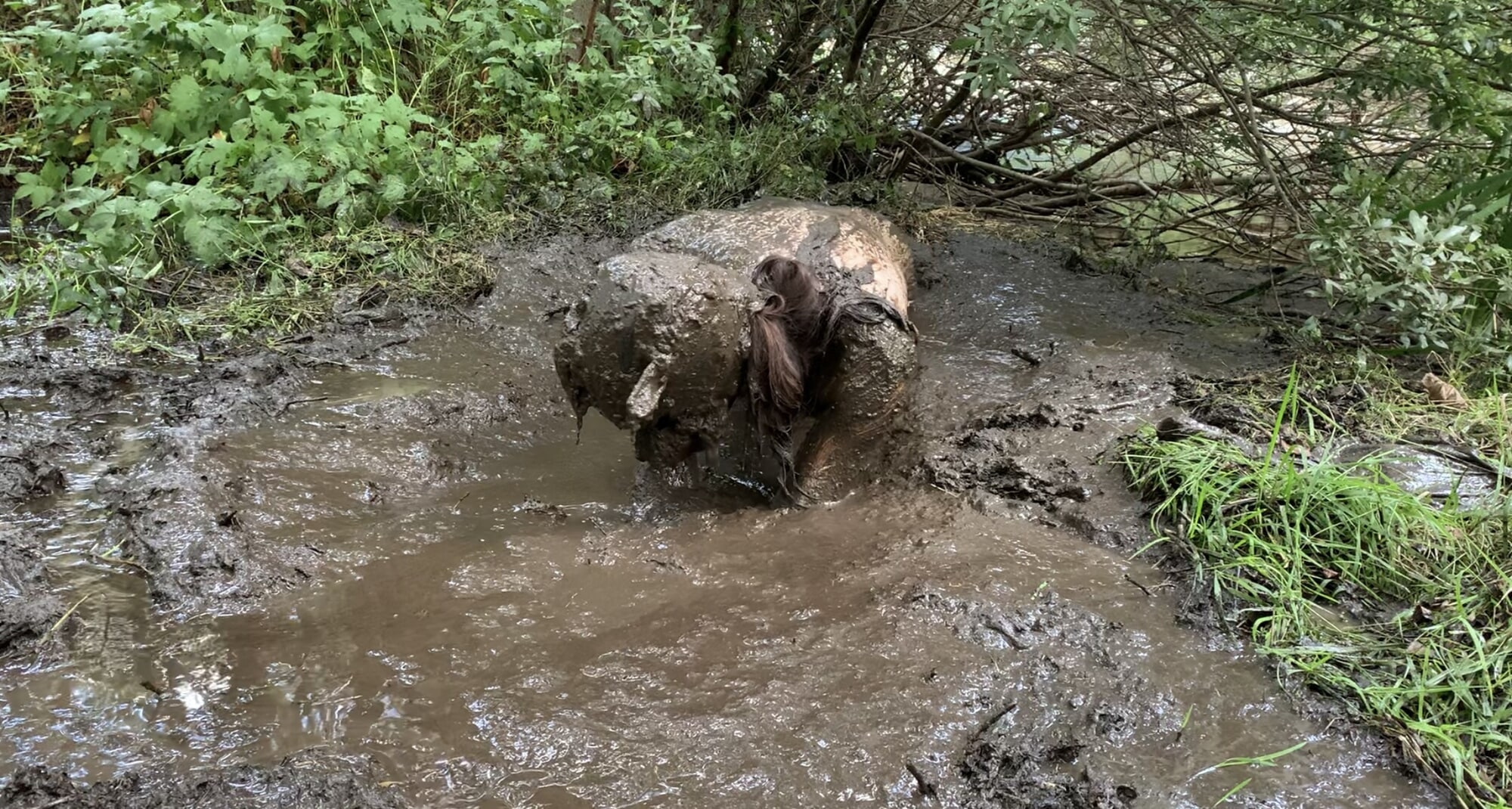 Mud Mud Mud 38 Pics Xhamster 3751